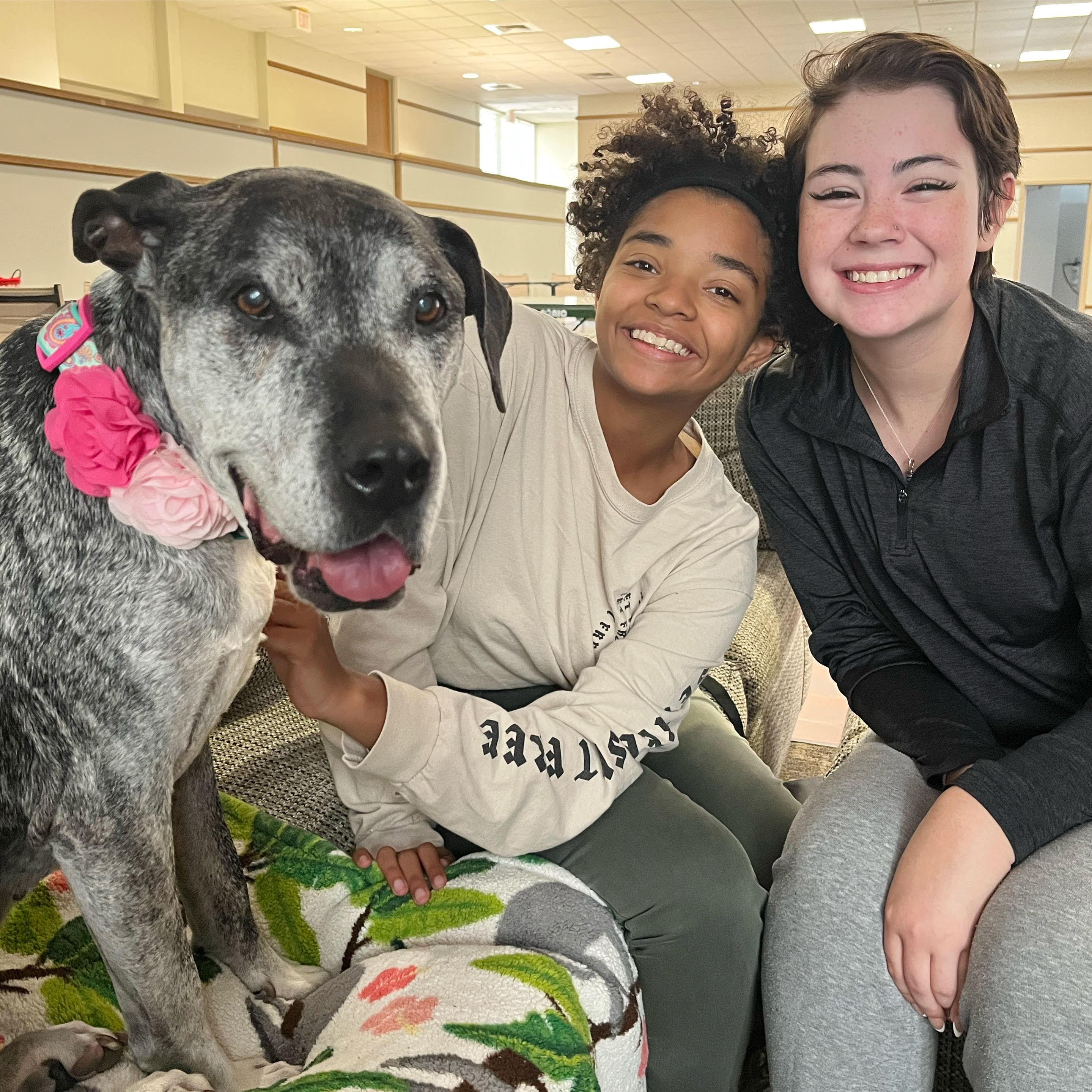 officehours1 | Emily Contois